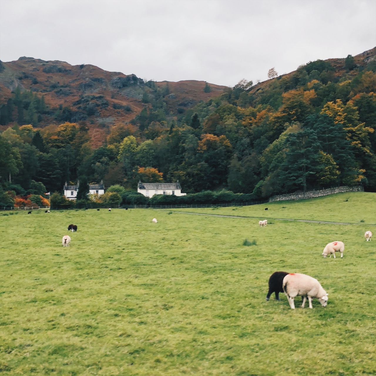 For the Love of Story | Hilltop Farm
